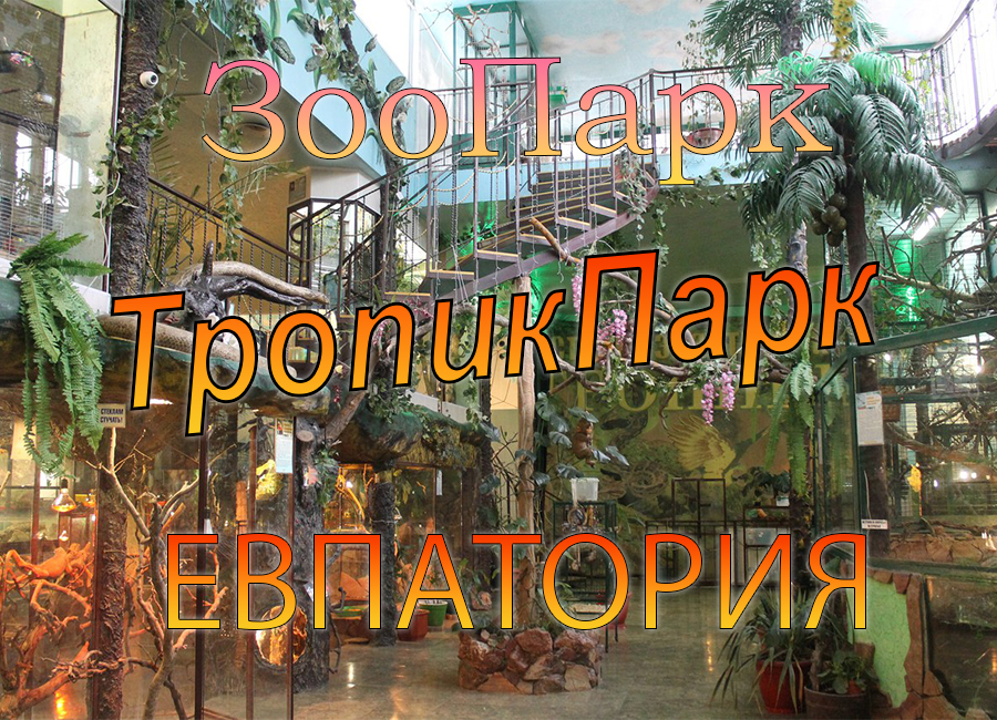 ЗооПарк "ТропикПарк" в Евпатории. График работы. Цена билета. Адрес. Семейный отдых с детьми в Крыму