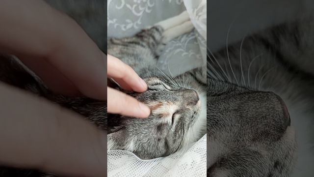 Зевнуть можно? Хорошо!