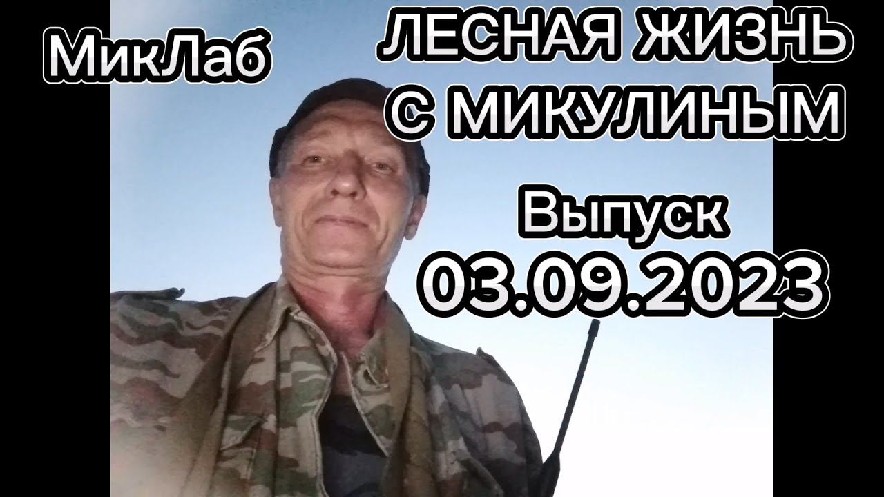 Лесная жизнь с Микулиным  Рация  Выпуск от 03 09 2023