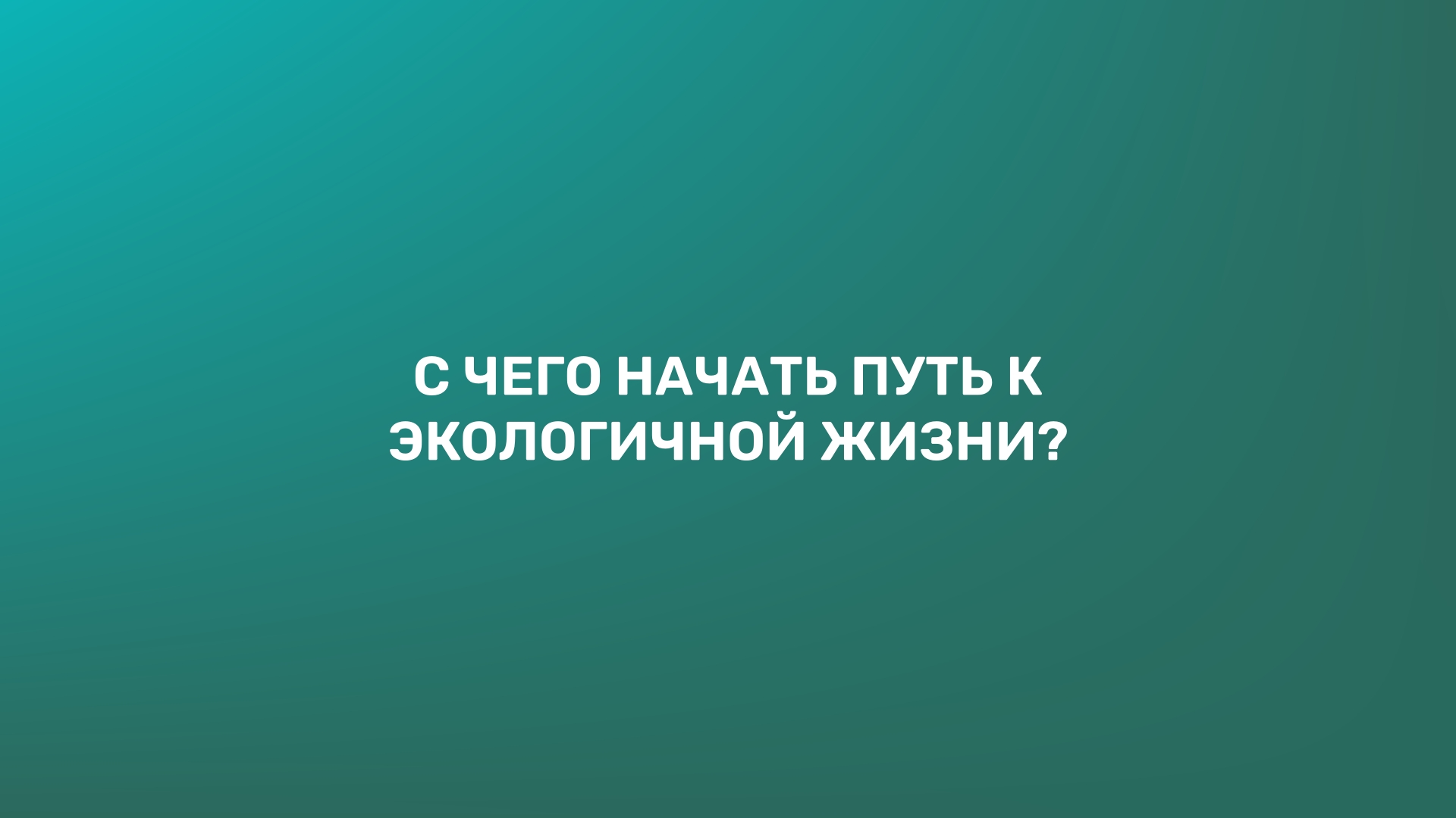 С чего начать путь к экологичной жизни?
