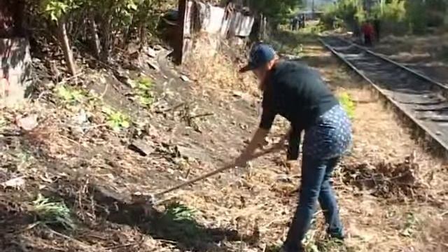 Чиновники на субботнике. Август 2010 год.