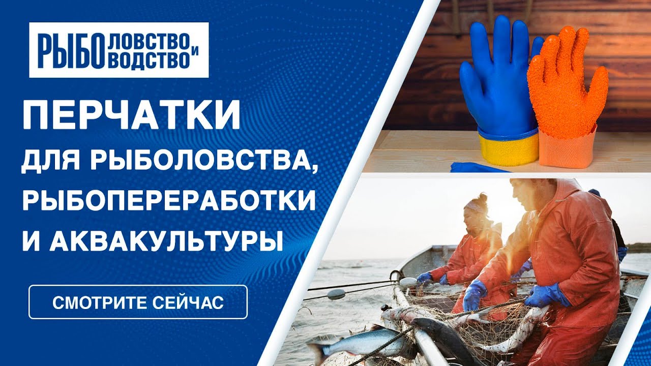 Выбор перчаток для рыбной промышленности. Предложение надежных СИЗ от компании Петроканат.