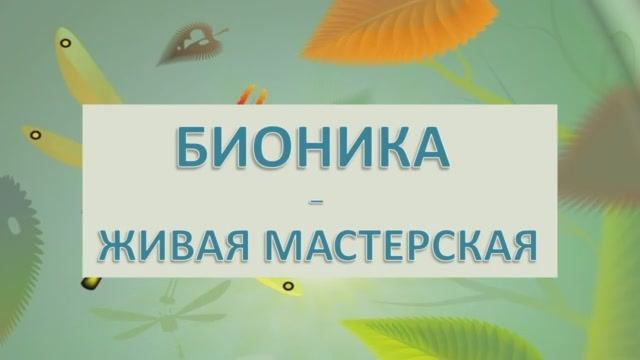 Видеопрезентация «Бионика – живая мастерская» (12+)
