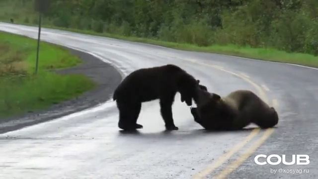 Российские будни