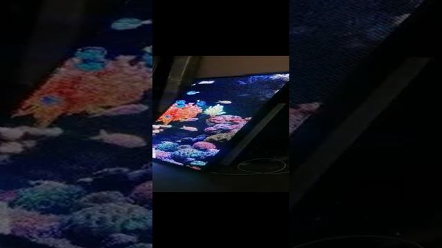 SVET LED Видеоэкран светодиодный уличный Р8 1х2 м.