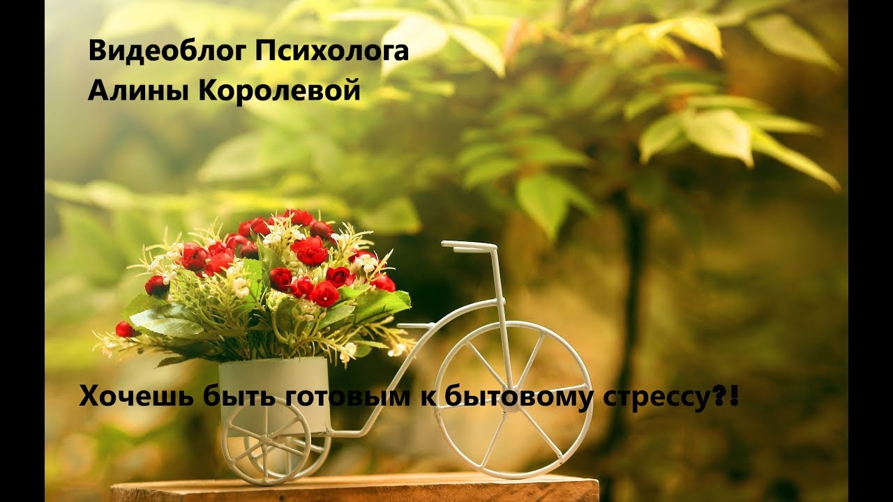 Хочешь быть готовым к бытовому стрессу? ► Психолог Алина Королева