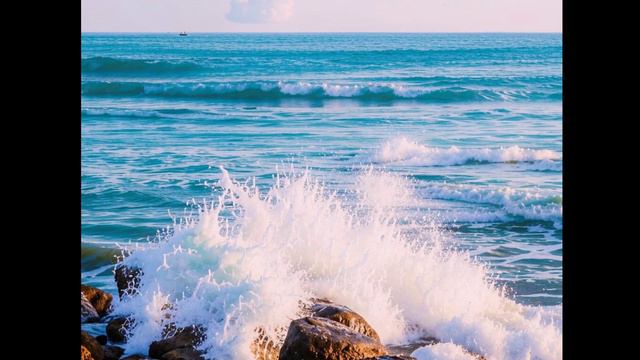 Средняя голова - WALLna