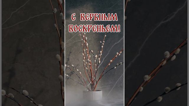 Видео поздравление с вербным воскресеньем | SunPikRu