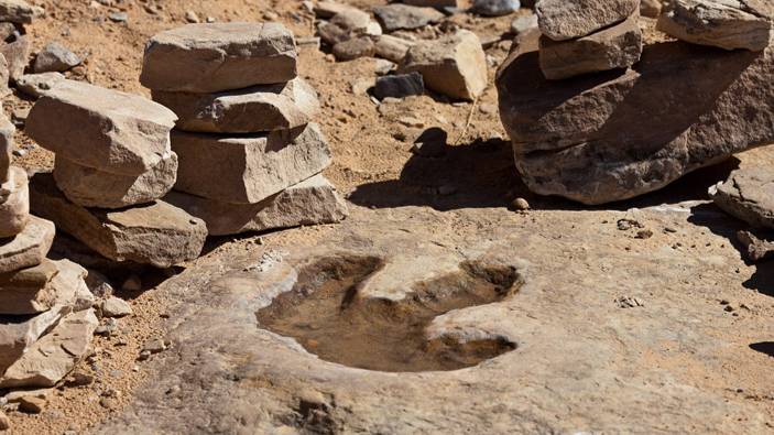 О чём говорят следы динозавров?