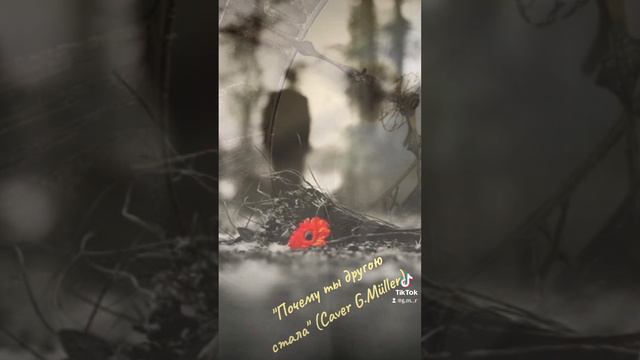 "Почему ты другою стала" -  Caver G.Müller