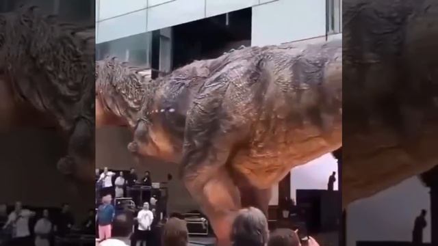 VID_20221222_214419_224.mp4