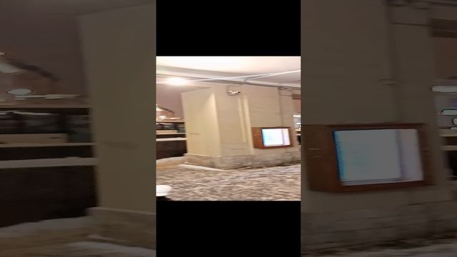 Новый год 2022 Питер , СПБ , 1 день )) )