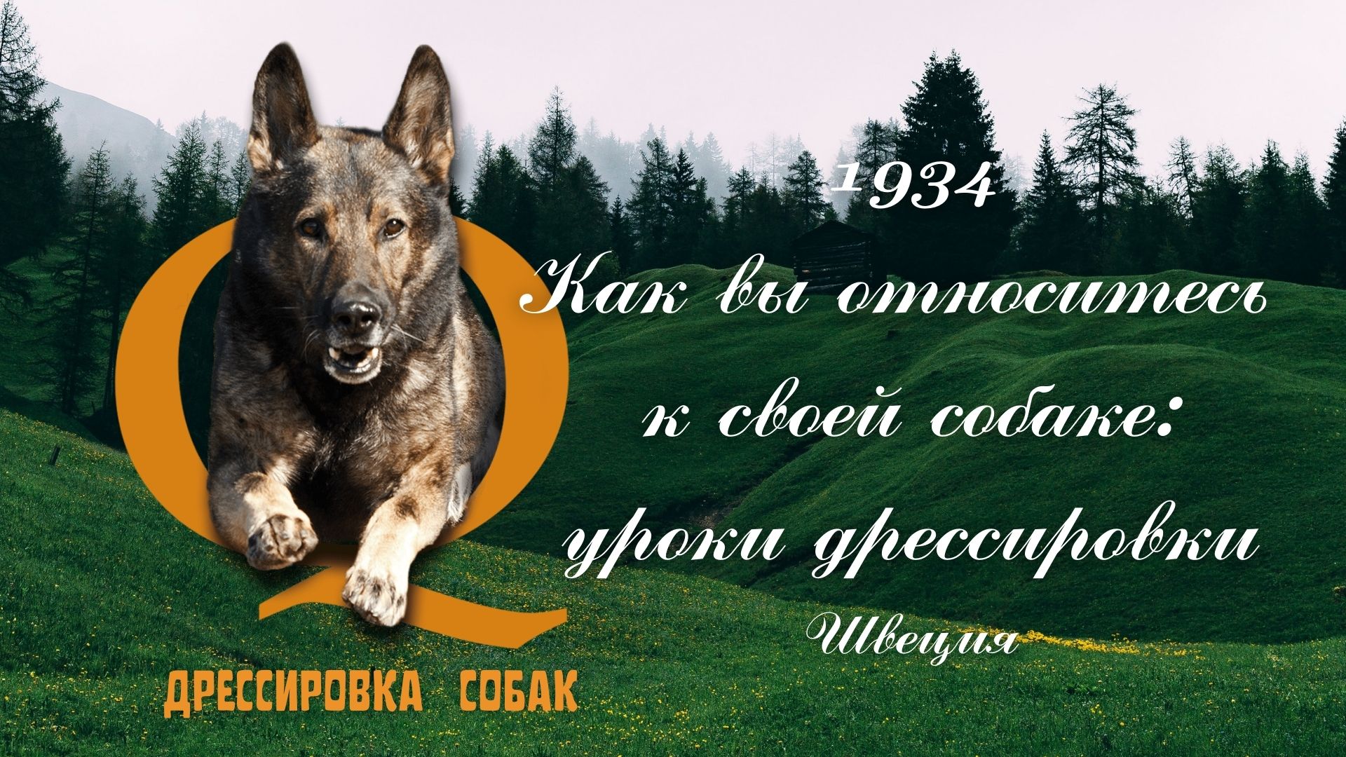 1934 "Как вы относитесь к своей собаке: уроки дрессировки",Швеция.