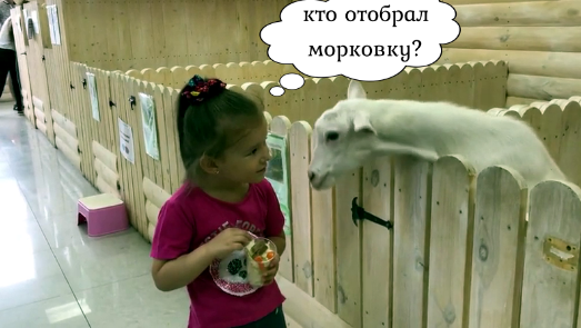Кто у Изабеллы отобрал морковку??// #ИзабеллаЛайк