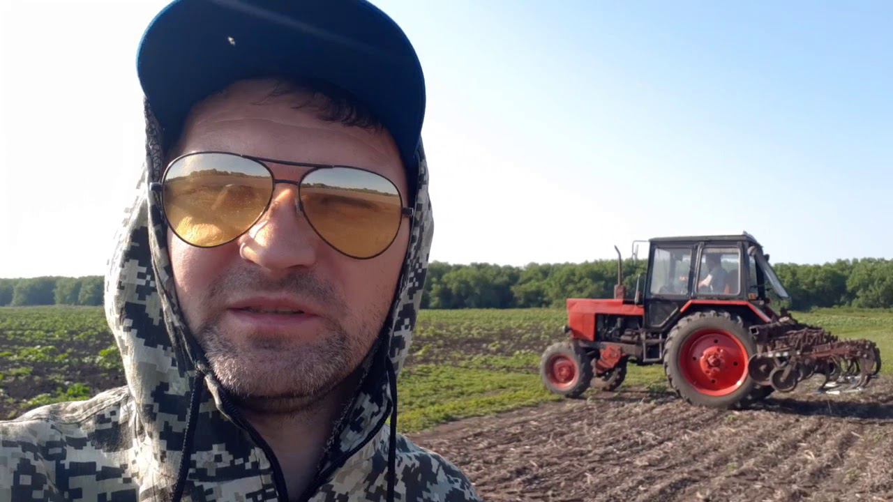 Вторая культивация  арбуза и дыни 12 06 2019