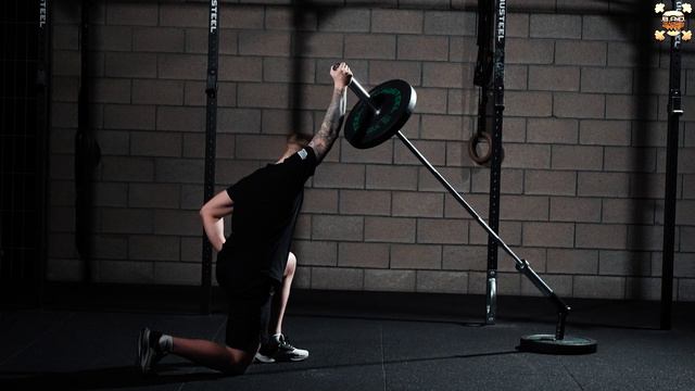 Жим штанги ландмайн с колена