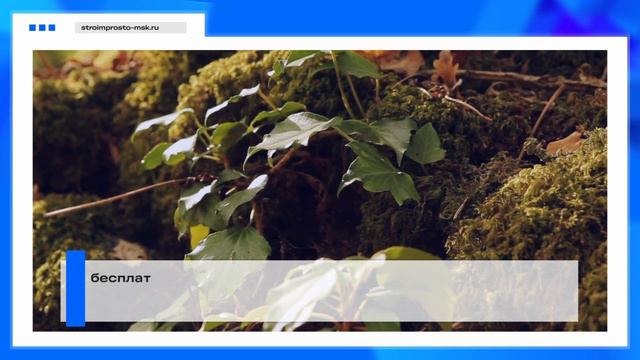 Дайджест новостей Август 1