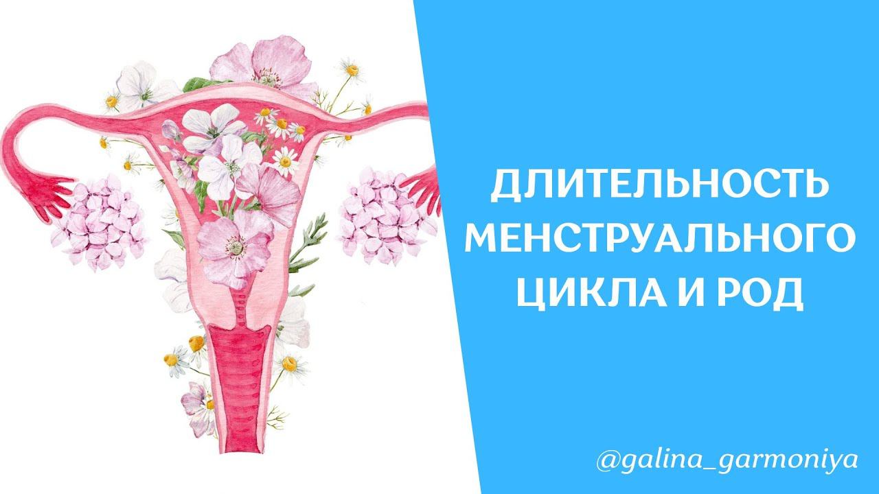 Длительность менструального цикла и родовые сценарии