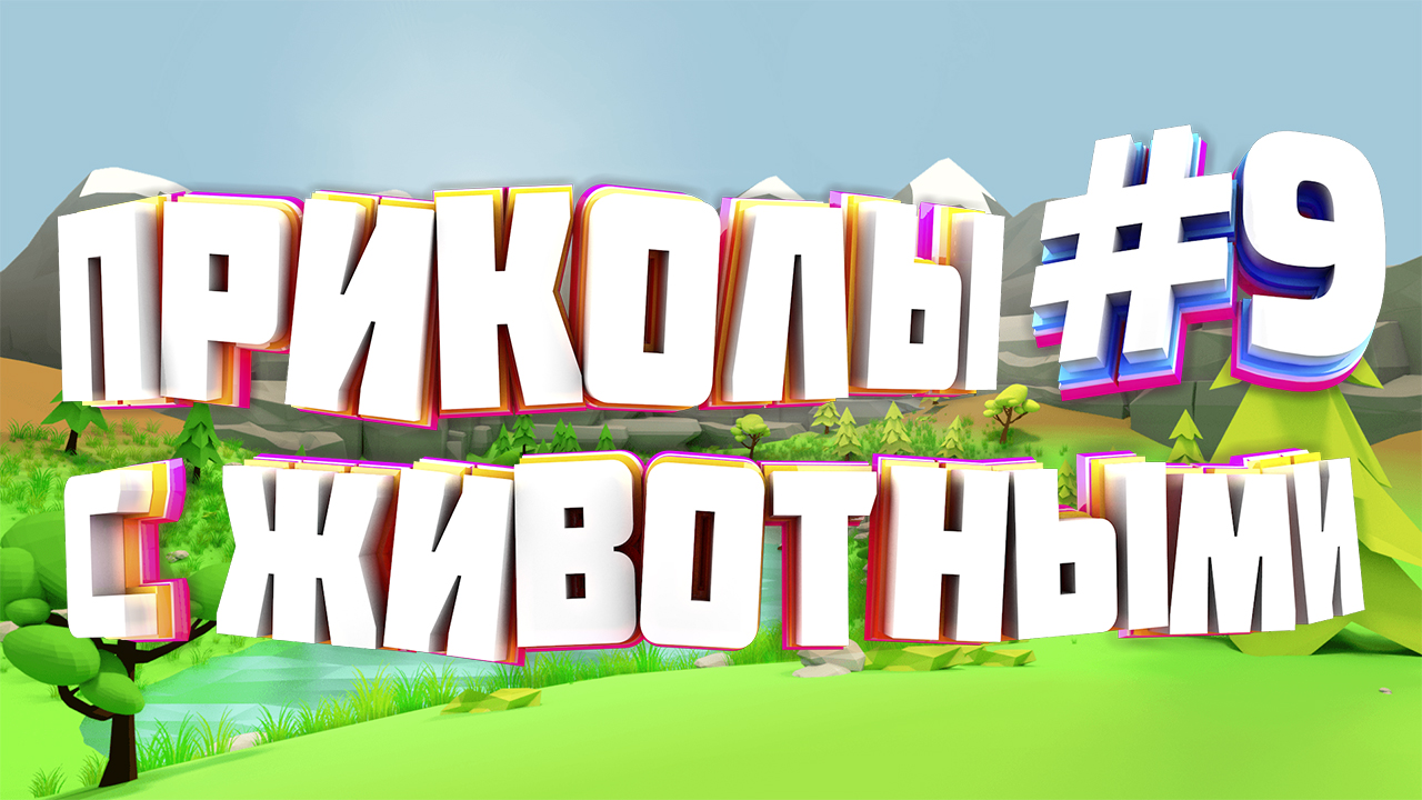 Приколы с животными | Приколы угары | Засмеялся подписался #9