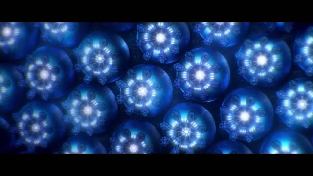 FRONT LINE ASSEMBLY - Epitaph.avi