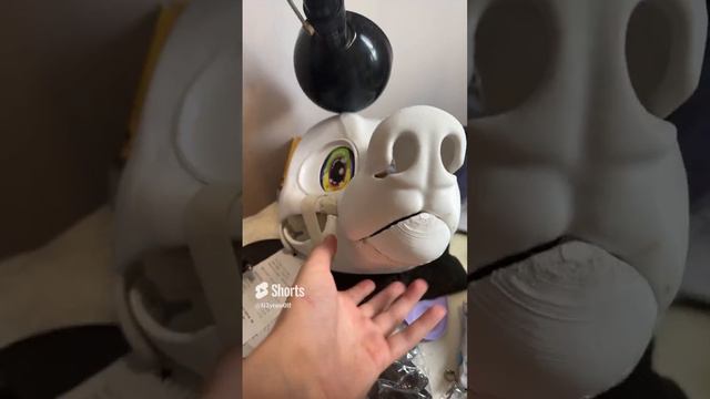 Основы с моими глазками _3 #сигма #funny #cute #фурри #furry #фурсьют #sigma #fursuiters #глазафурри