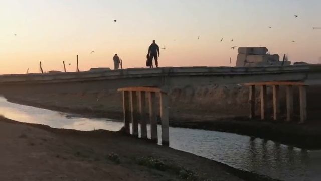 Наверно Мир сошёл с ума (клип смонтированный ИИ)