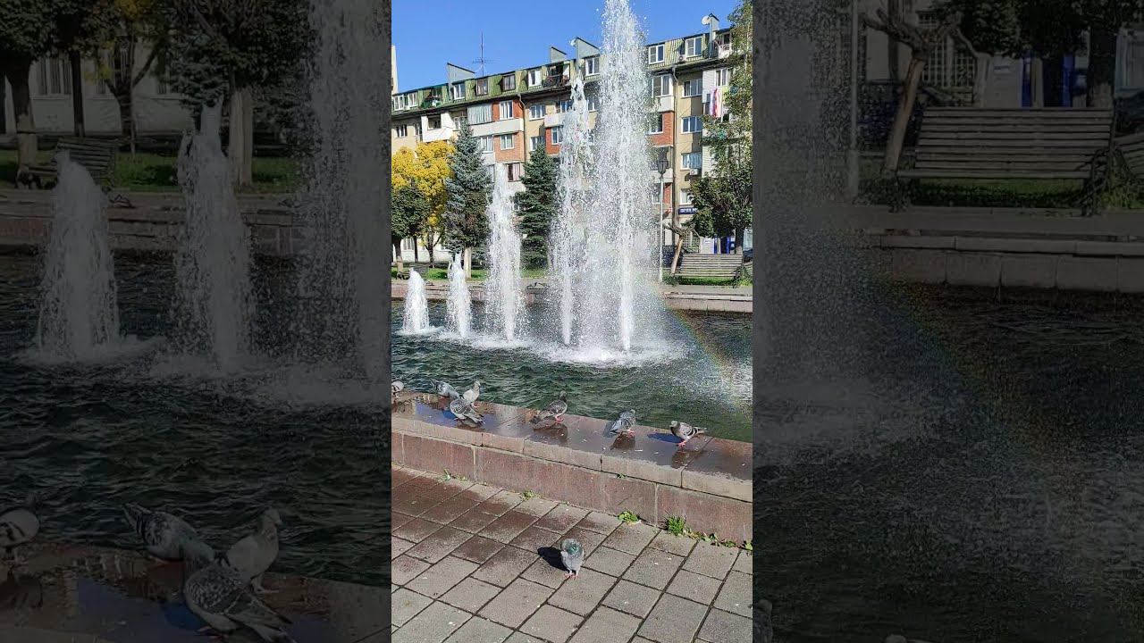 Голуби у фонтана чистят перышки