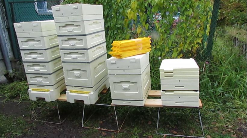 14 сентября 2022 года, получил заказ с фирмы BienenHaus - 8 рамочные ульи и многое другое