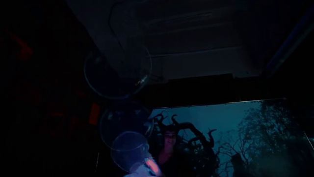 ШМП Малефисента