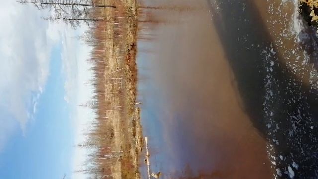 МАЙ В ТУНДРЕ (ЯНАО) - MAY IN THE TUNDRA (YANAO) ?