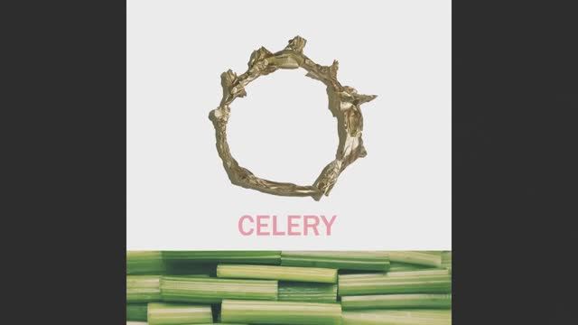 Дима Бамберг / DIMA BAMBERG  / SCHOKK «CELERY IV»