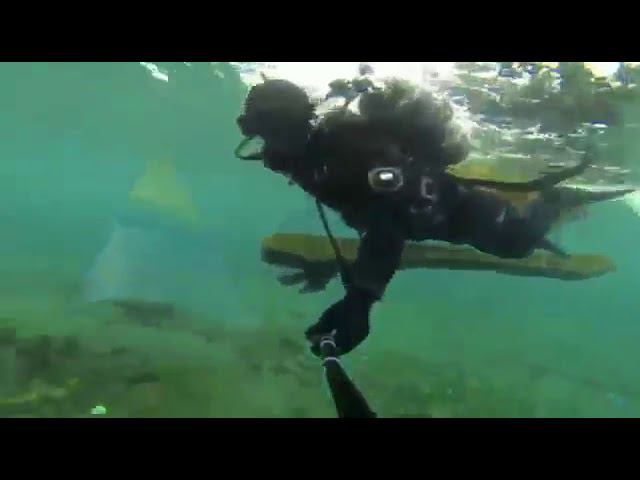 Понтон цилиндрического типа в действии