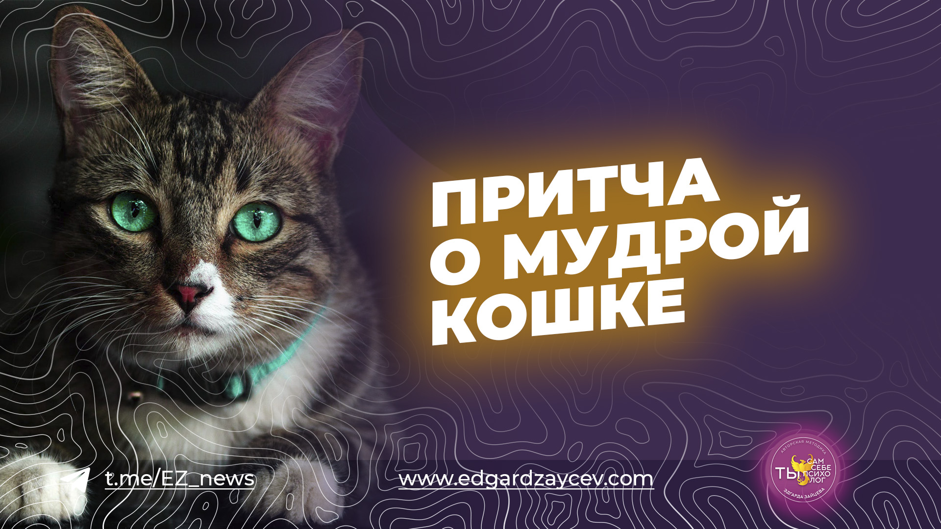 Притча о мудрой кошке