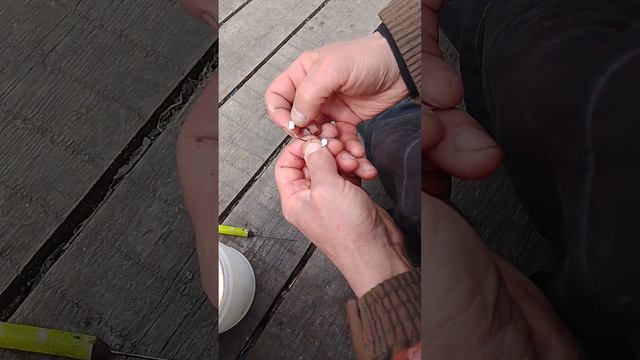 Уловистый монтаж для ловли карпа и карася