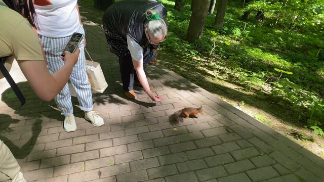 Белка берёт с руки только орешки