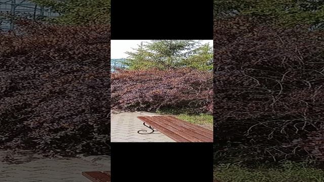 Последний день весны...