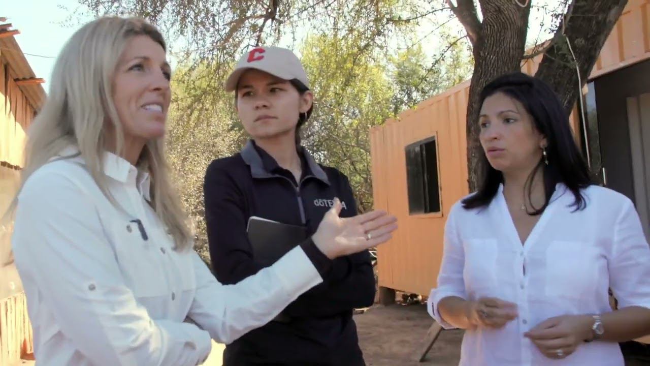 Гваяковое дерево / Behind the Bottle