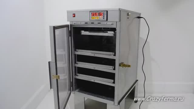 Инкубатор автоматический АИ-264 от CrazyFerma