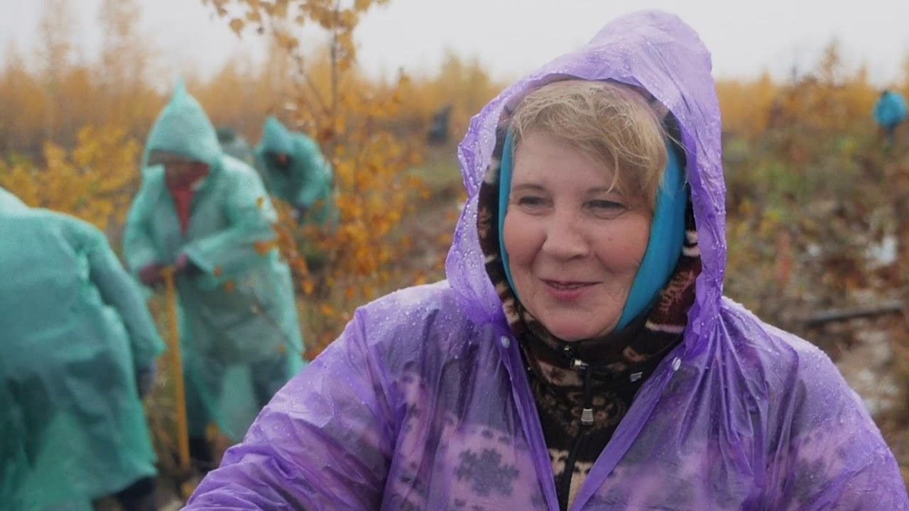 Чувашия. Осень 2019. PosadiLes.ru