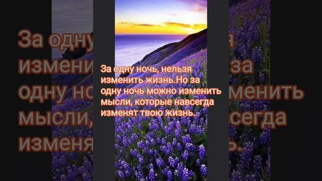 🌟Золотые🌟 цитаты жизни.