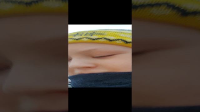 небесный крикун возможно в городе