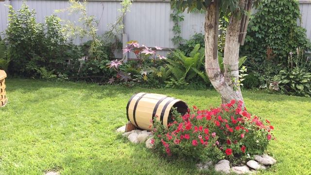 Бочка клумба. Немного ремонта по саду