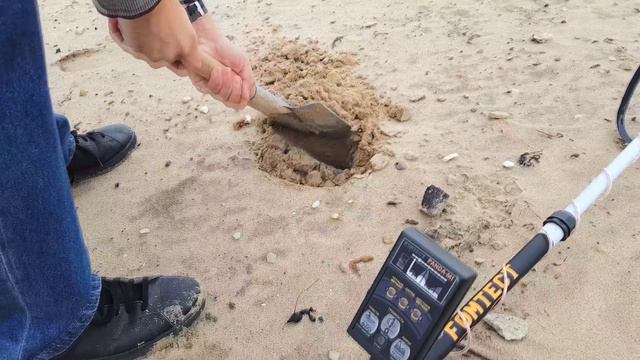 Нашли монету металлоискателем FOMTECT PANDA-M1