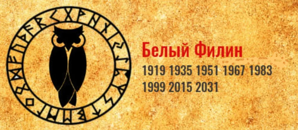 ТОТЕМ ДИКИЙ ВЕПРЬ (КАБАН) * ЕДИНЫЙ КРУГ