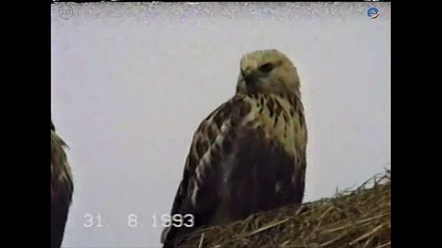 Осенняя охота на уток. с.Ойусардах, 1993 г.