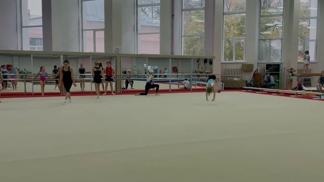 День гимнастики