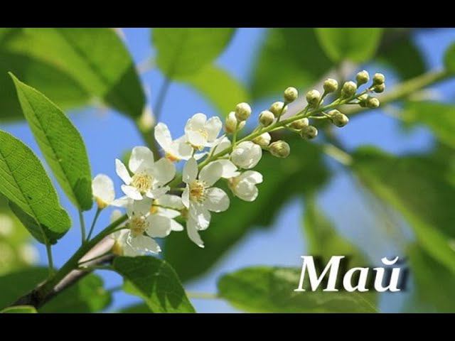 КАЛЕНДАРЬ СОБЫТИЙ МАЙ 2021,MYTH PUZZLES,GODS STRIKE