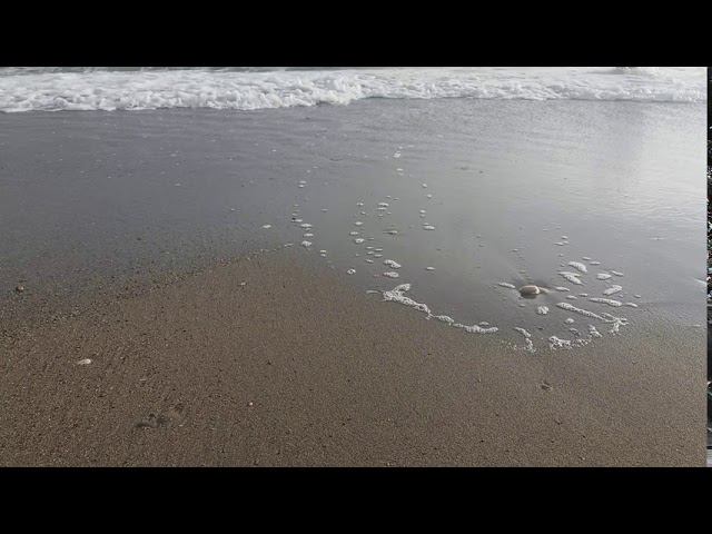 Лето. Море. Волны.