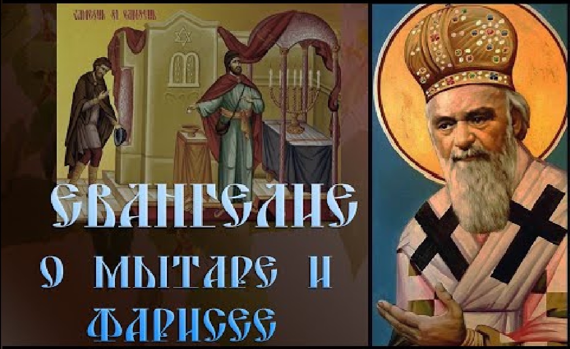 Евангелие о мытаре и фарисее. свят.  Николай Сербский