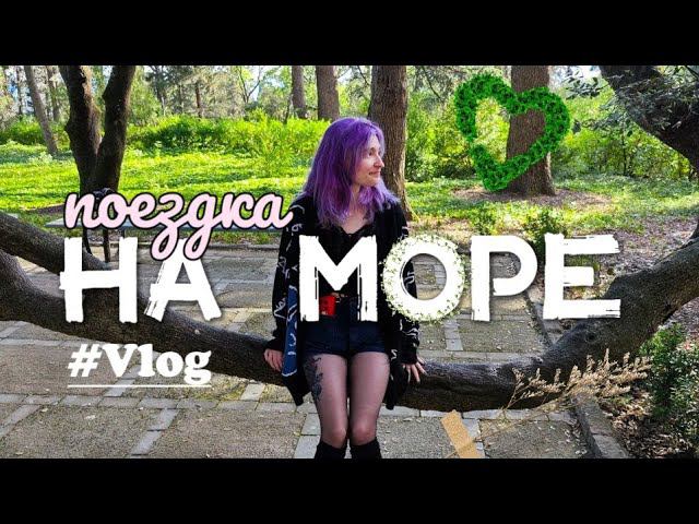 ВЛОГ с моря | часть 3 завершающая | Зелëный лабиринт и дикий пляж